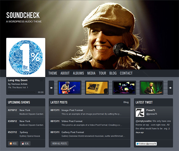 Top 10 Best Rock n’ Roll WordPress Themes for Musicians – Bloggrrr.com